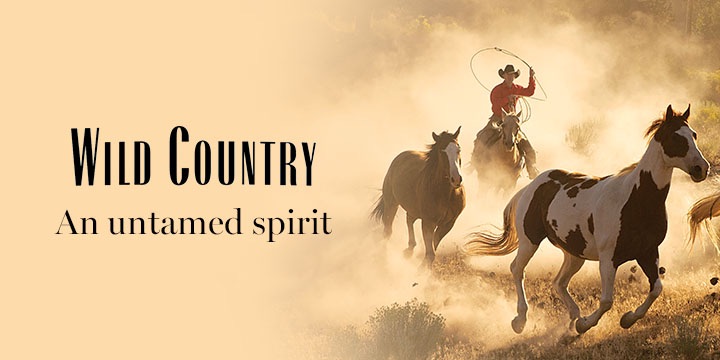 Wild Country Vibes & Southern Style Finds – Beauty Bloom News